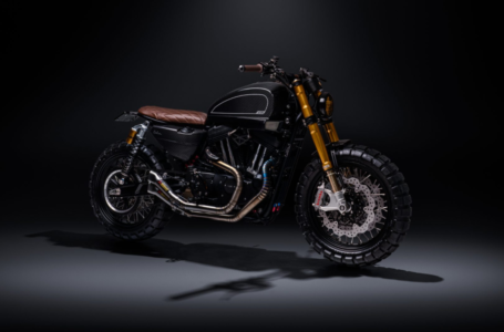 Rena Max, The electric scooter that will revolutionize the delivery ...