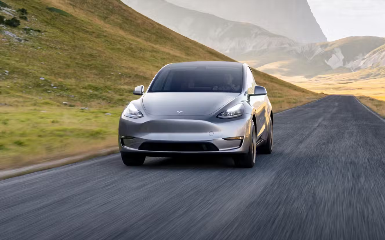 The New Camouflage Chronicles – What is Tesla Hiding? - Adrenaline ...